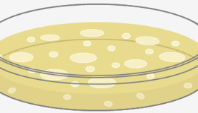 LearnSci LabSim: Pour Plate Technique
