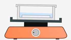 LearnSci LabSim: SDS-PAGE Staining