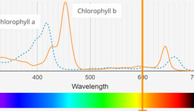 LearnSci LabSim: Spectrophotometer: Parts and Theory