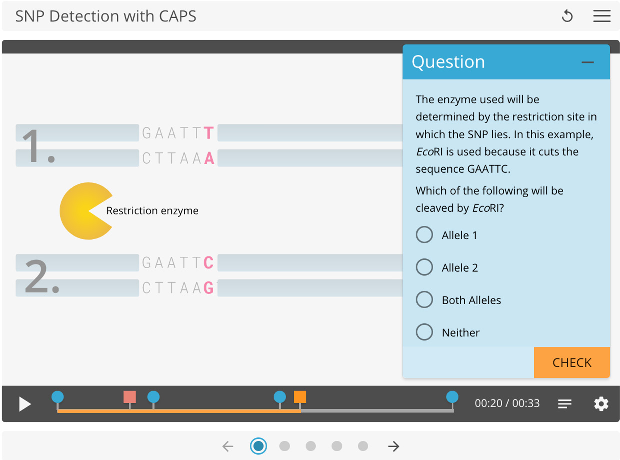 Learnsci Labsim Snp Detection With Caps