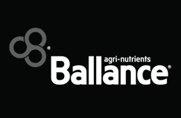 M2X New Zealand | Transport Management System