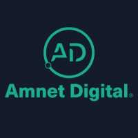 Amnet Tech Case Study | AI bees