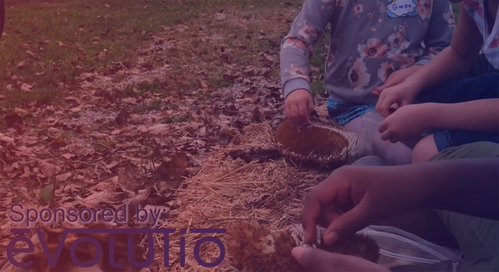 Evolutio | Knowledge Hub