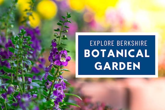 Explore Berkshire Botanical Garden