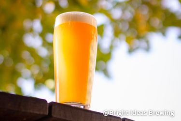5 Best Craft Brewery Spots in the Berkshires
