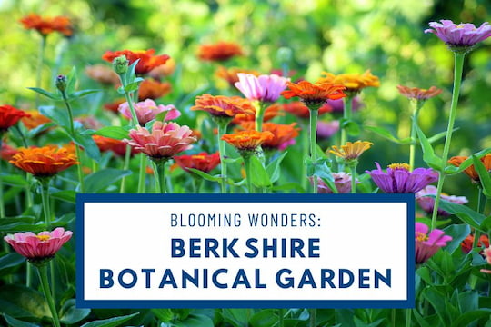 Blooming Wonders: Berkshire Botanical Garden Blooming Wonders: Berkshire Botanical Garden