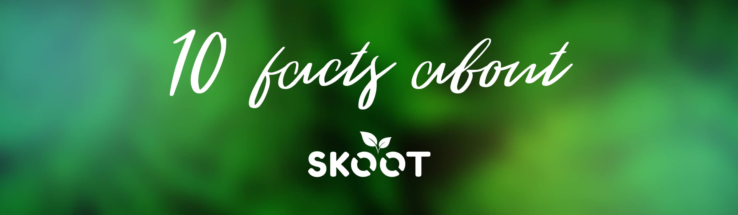 10 facts about SKOOT Eco and the race to net-zero | SKOOT