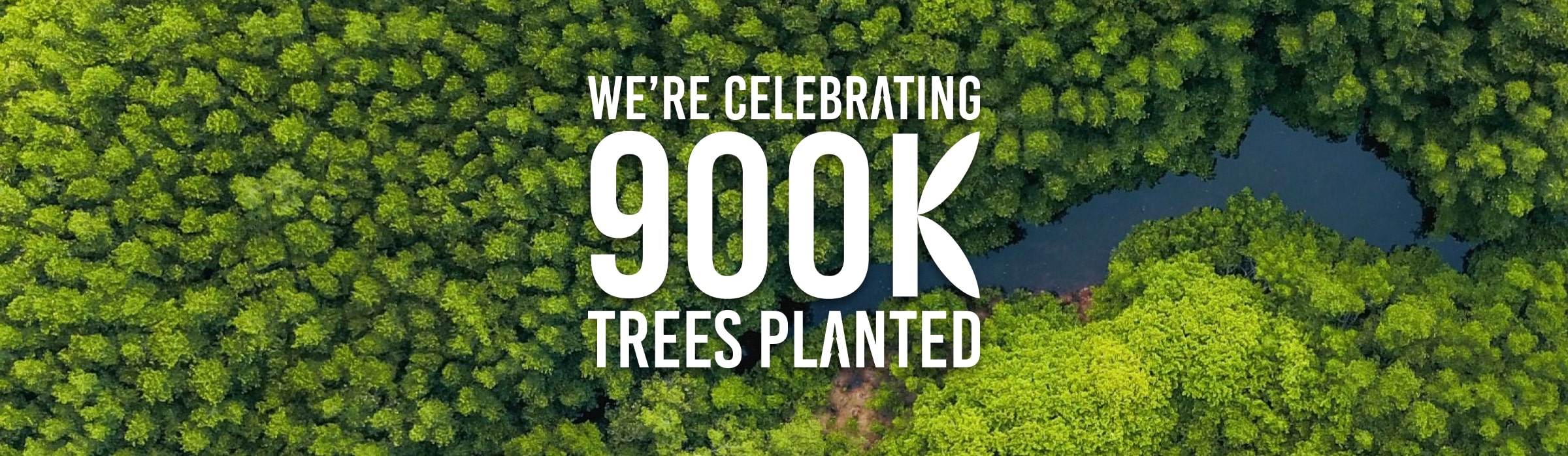 SKOOT's growing community reaches 900,000 tree milestone | SKOOT