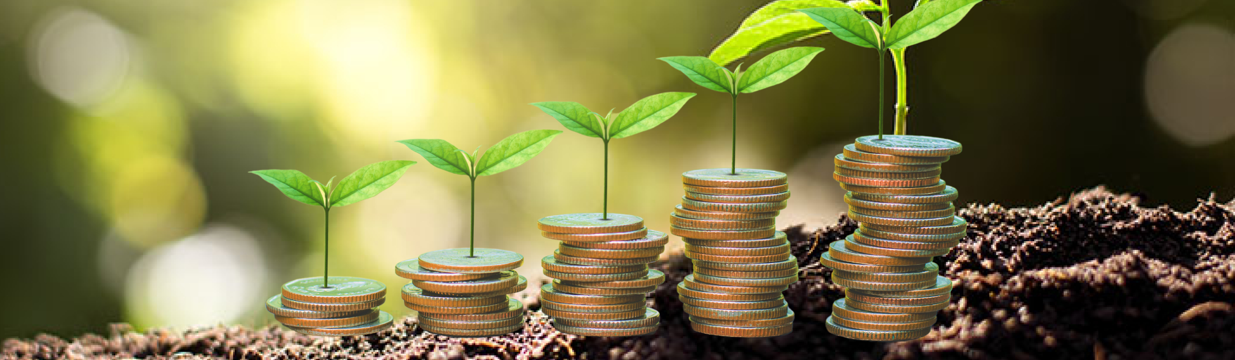 A guide to spotting and avoiding greenwashing | SKOOT