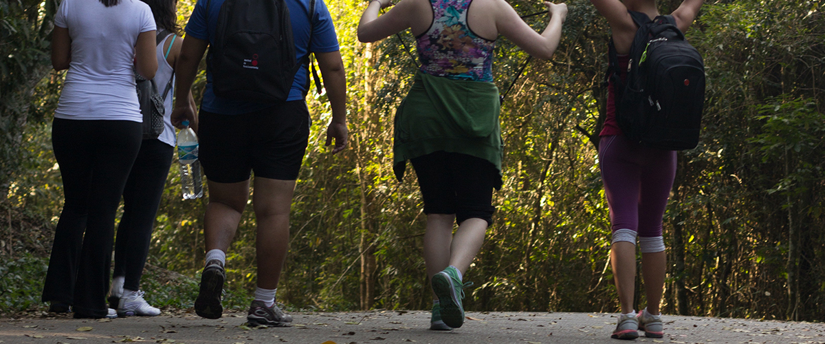 Daily Walks Help Kidney Health