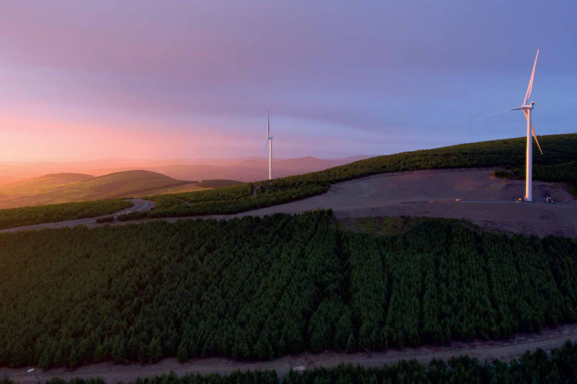 Executive Directors of ESB