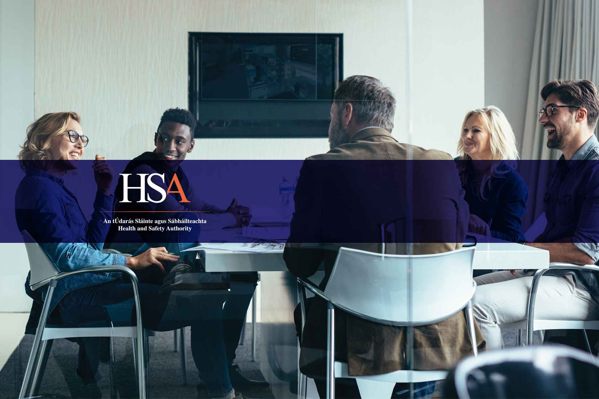 Chief Executive Officer, Health and Safety Authority