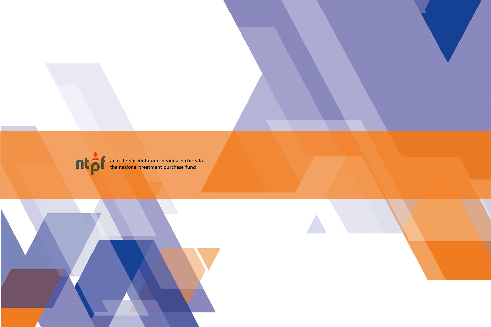 Chief Executive Officer, National Treatment Purchase Fund