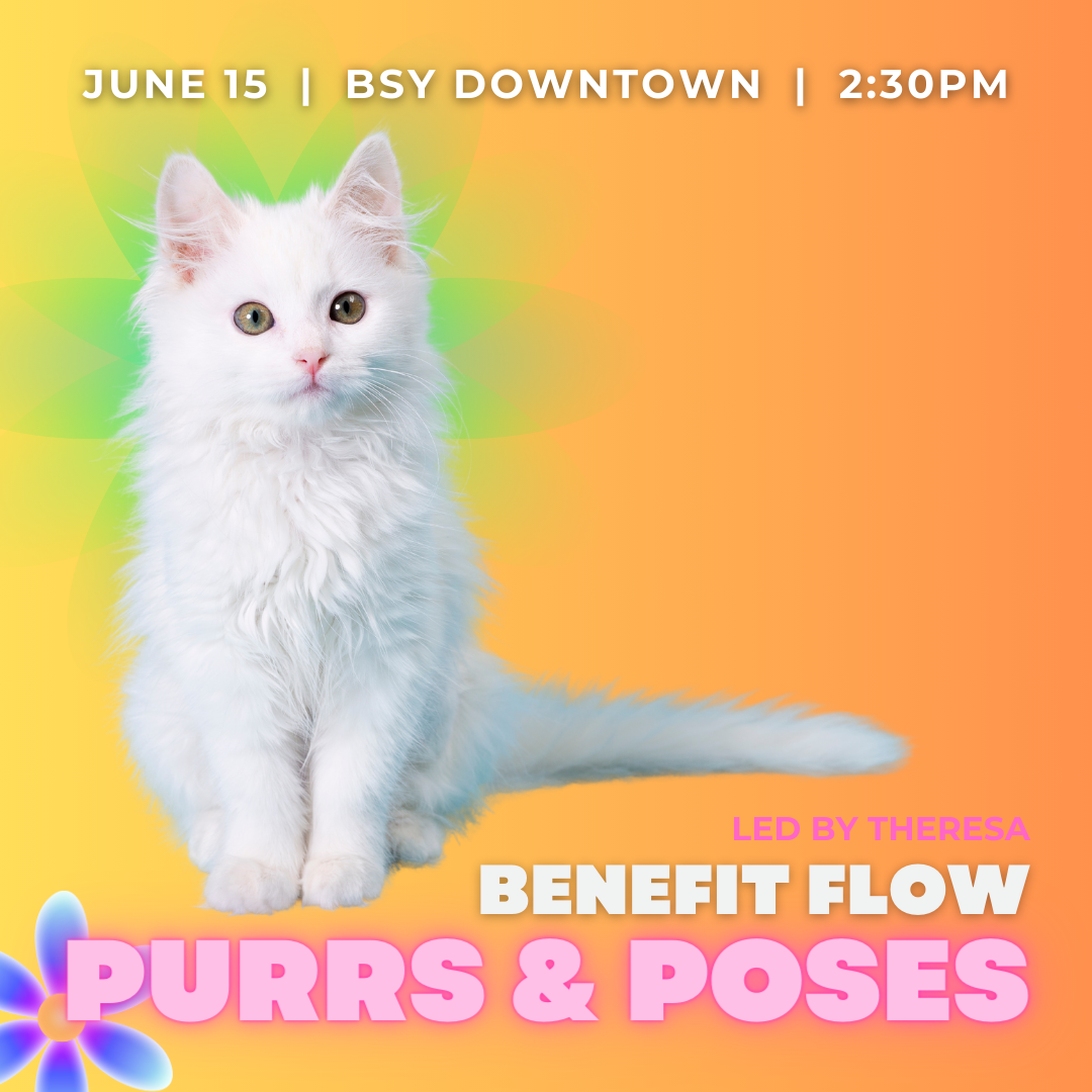 Black Swan Yoga | Events