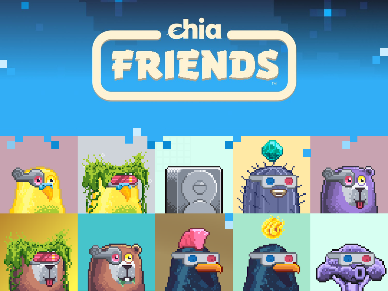 Chia Friends: From Network to Collection | Bueno Blog