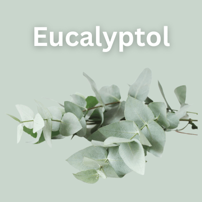 Eucalyptol Terpene - Benefits & Results | Atrium