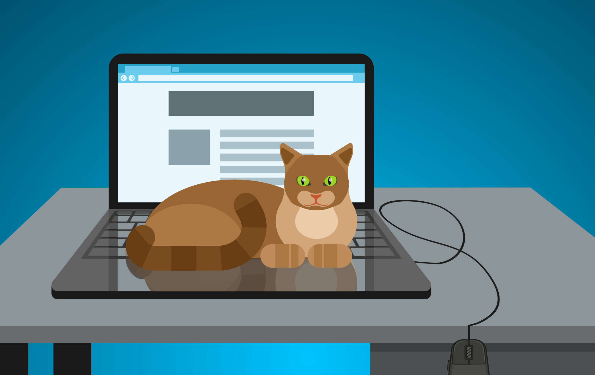 How To Avoid Pets Damaging Your Computers | Yellowstone Computing