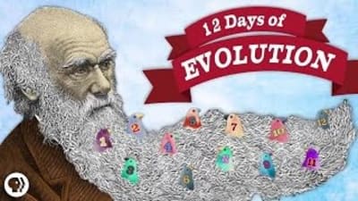 The 12 Days of Evolution - Complete Series! - It's Okay To Be Smart