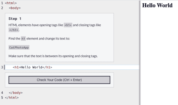 Responsive Web Development - freeCodeCamp