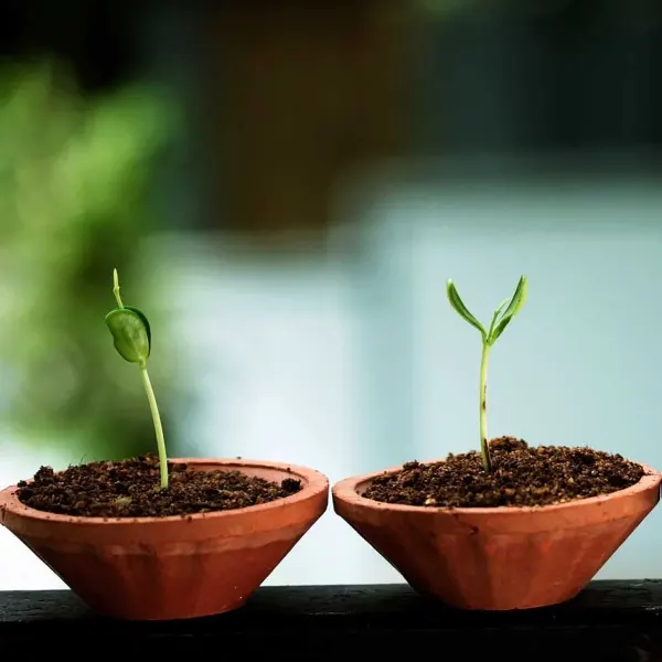 Grow to Greatness: Smart Growth for Private Businesses, Part I ...