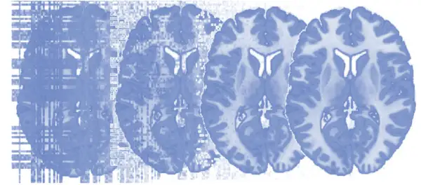 Principles of fMRI 1 - Johns Hopkins University, University of Colorado ...