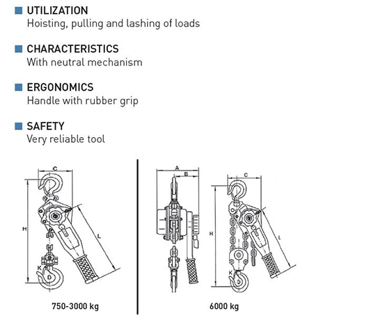Lever Chain Block - Container Technics
