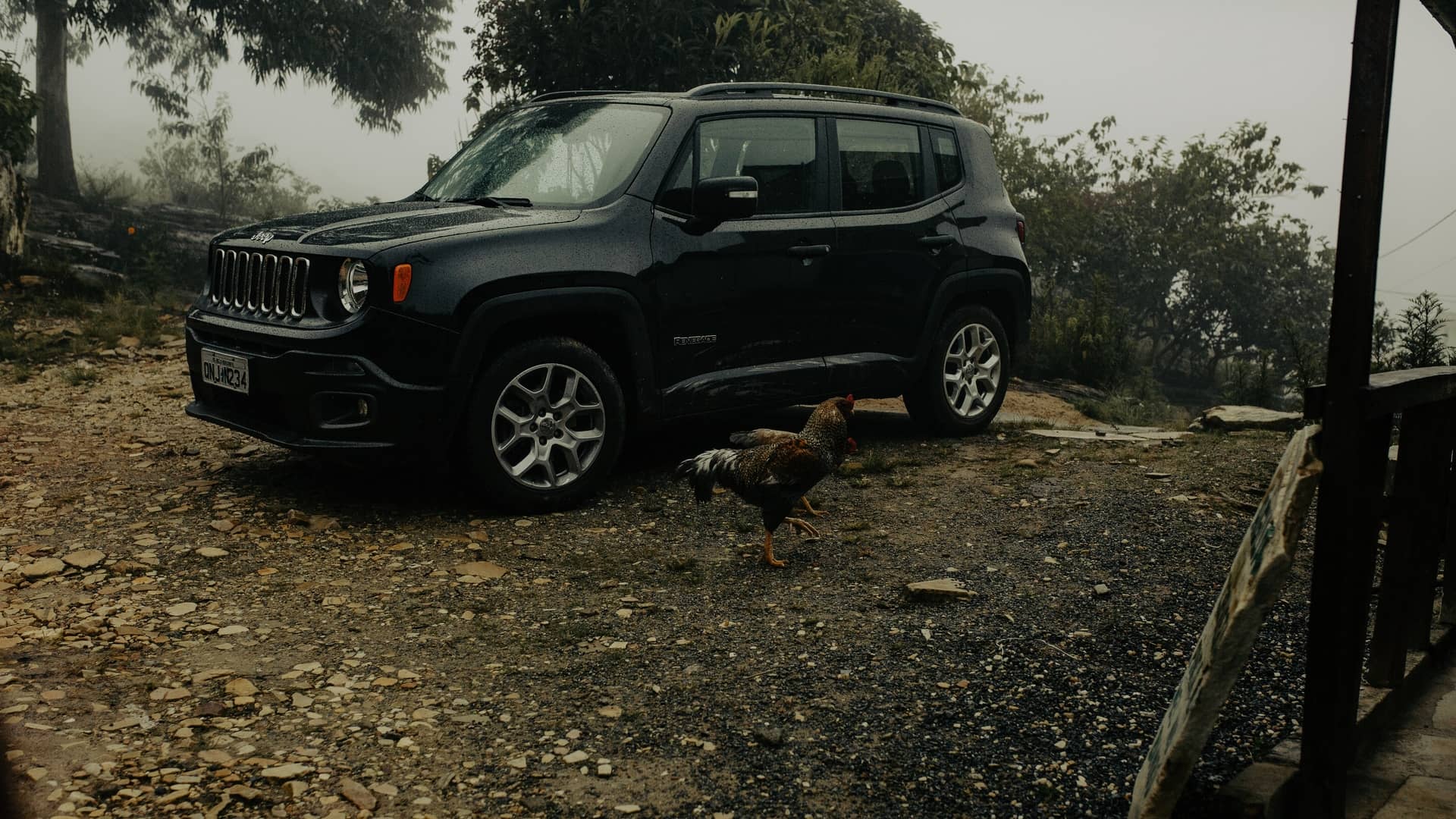 SUVs & Rollover Accidents