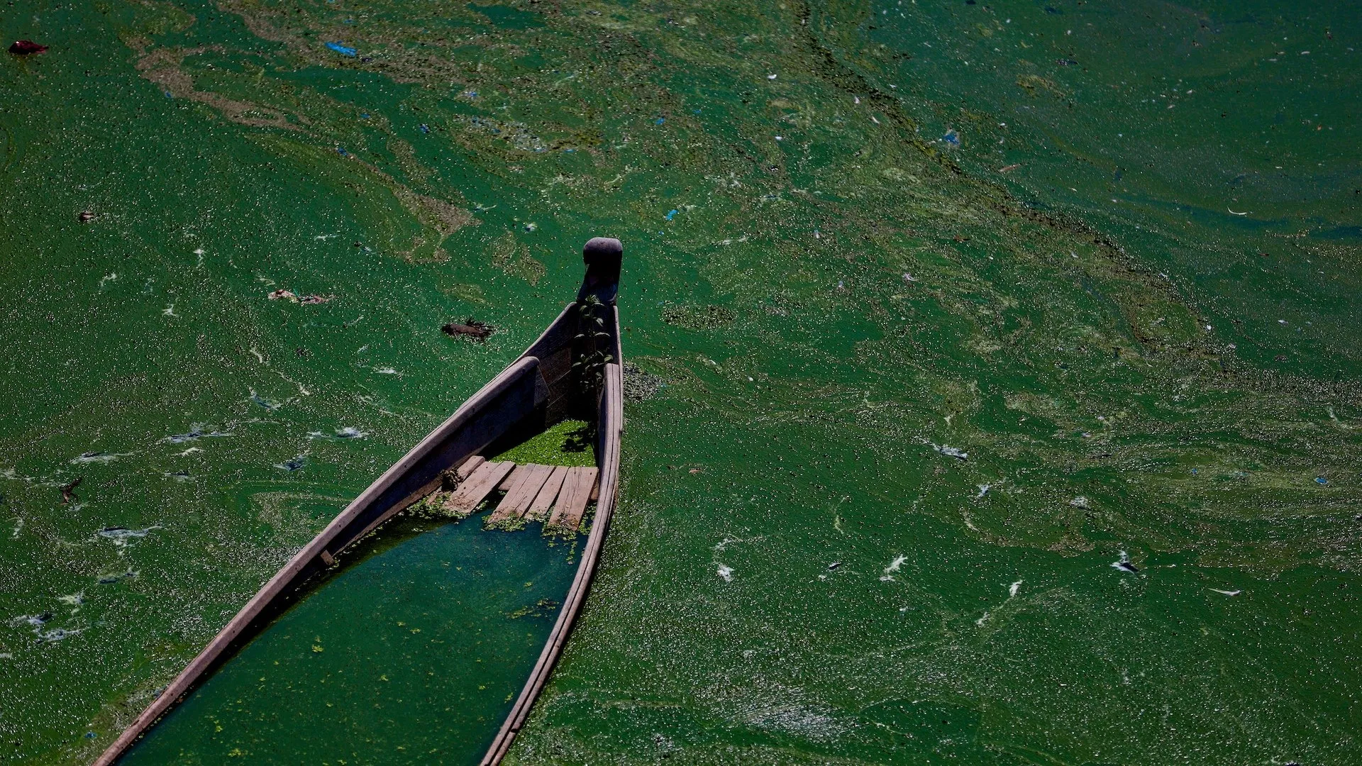 What Are The Most Common Causes Of Drowning Accidents