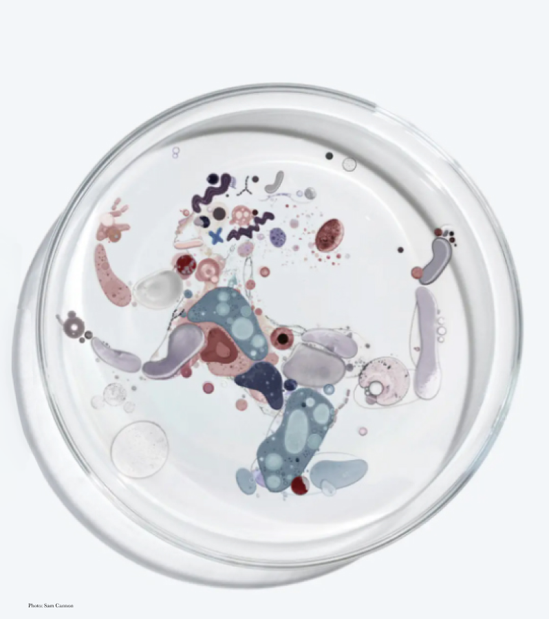 Arcaea: A Beauty Revolution Through Biology