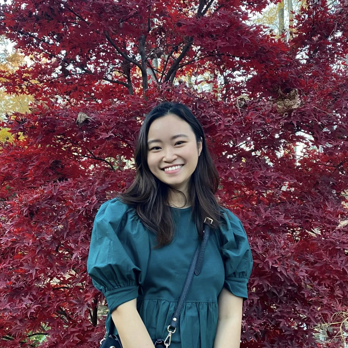 Mindspire | Sarah Park