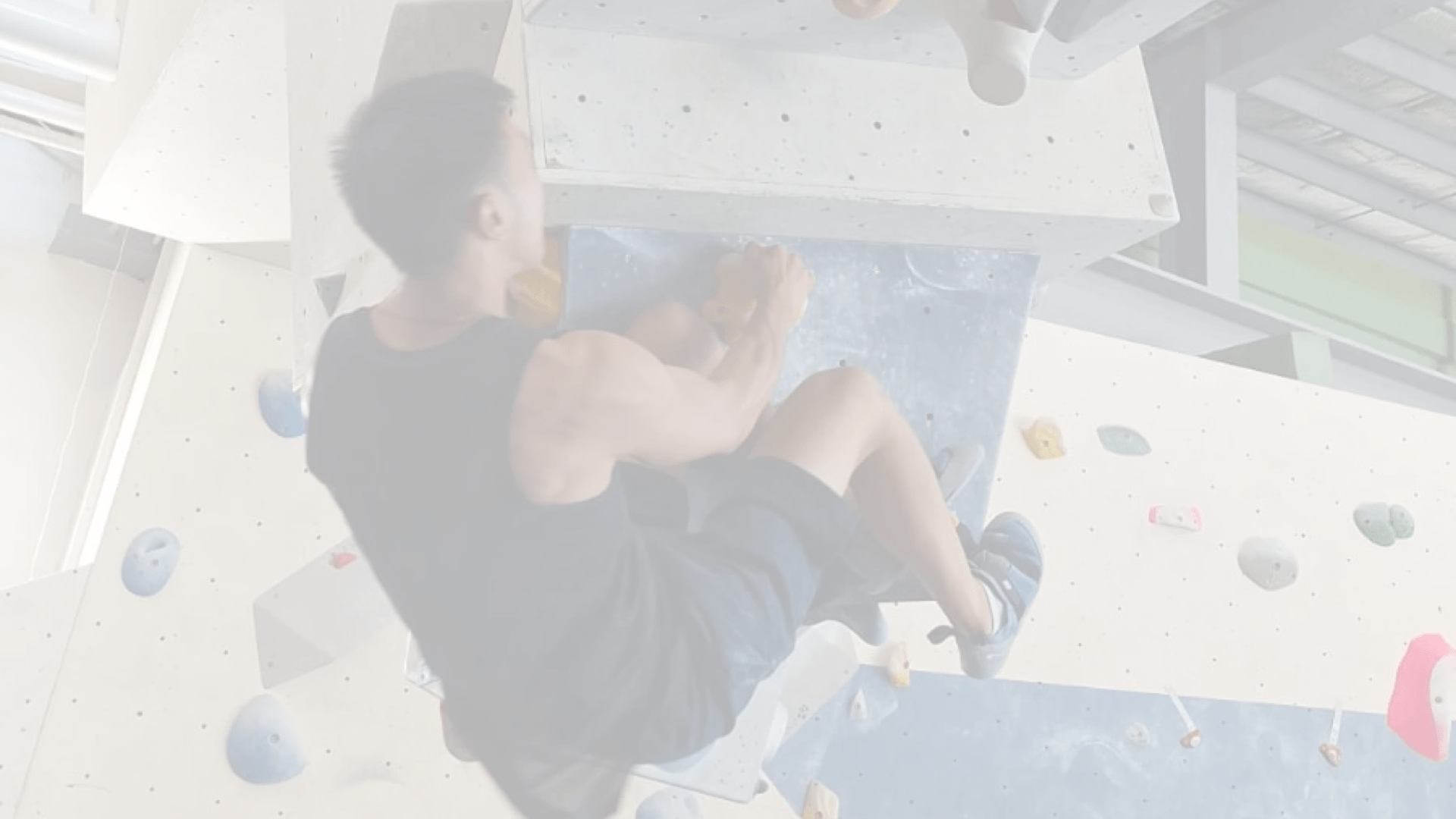 Derek Siu - Website Designer & Webflow Developer