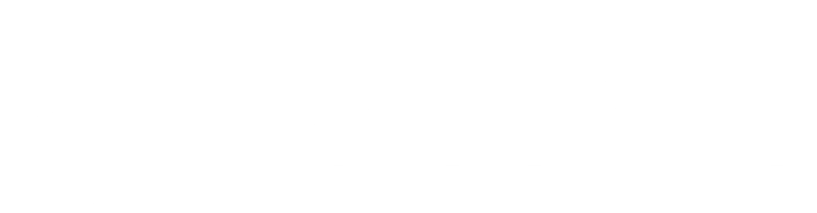 Launcher