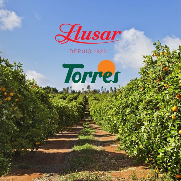 NORGESTION | Llusar y Naranjas Torres se fusionan para crear un gigante ...