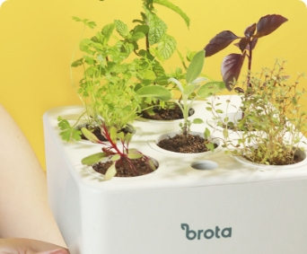 Horta inteligente - Brota Company – Brota Company