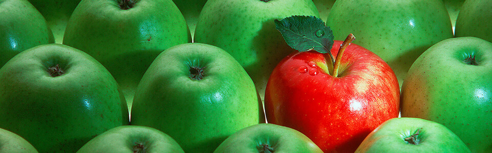 5 LMS Features to Super-Power Your Online Training