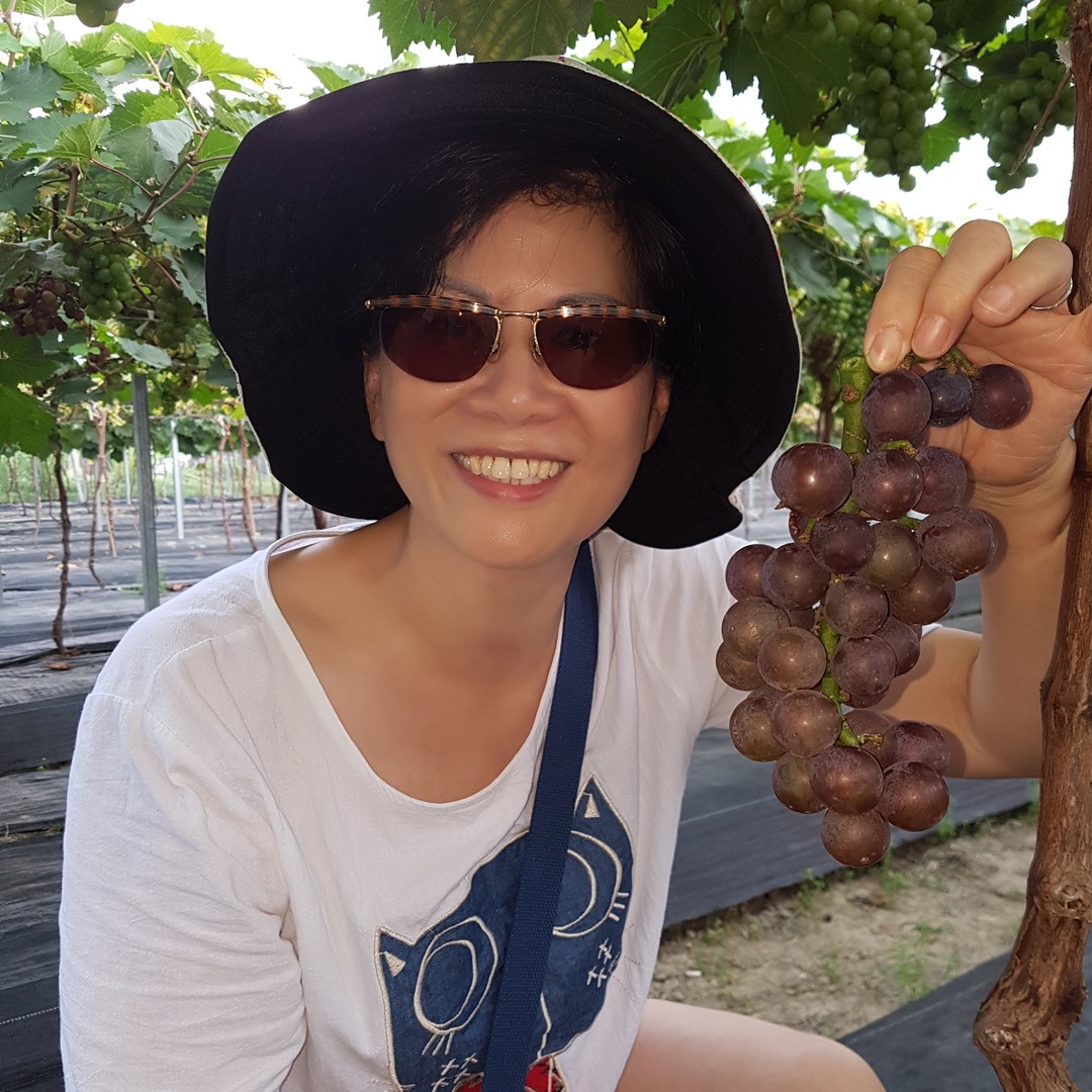 社職 Social Career｜義工機會和本地活動創造正面影響