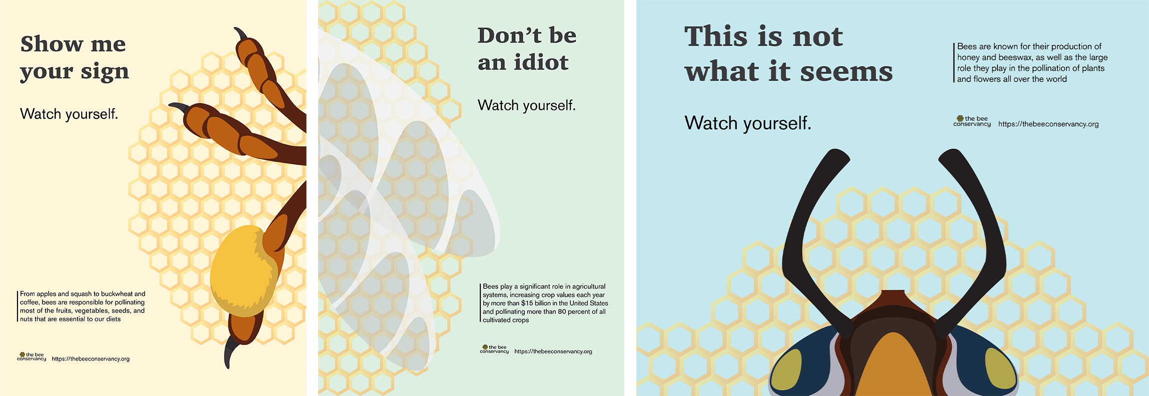 visual design