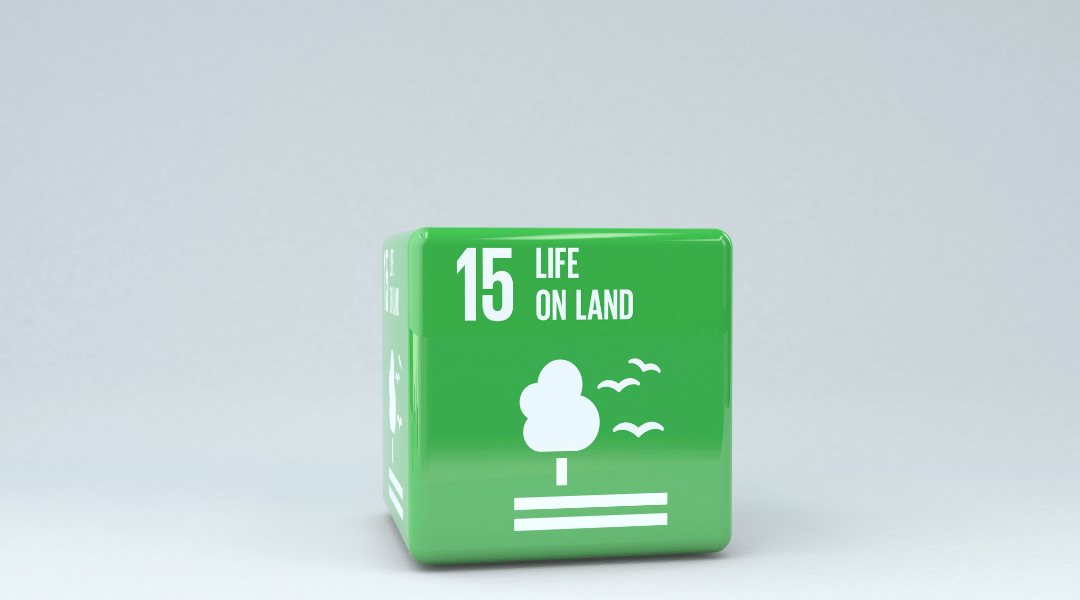 SDG可持續發展目標15：陸地生物｜認識生物多樣性和香港保育｜社職 Social Career BLOG