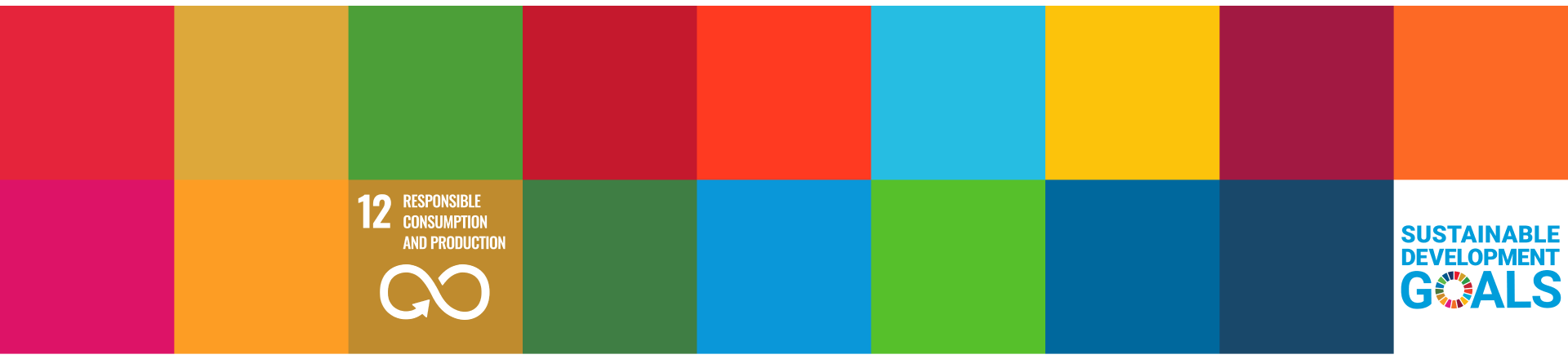 【SDG 12】實現「可持續發展目標12：負責任消費和生產」的義工服務｜Responsible Consumption And ...