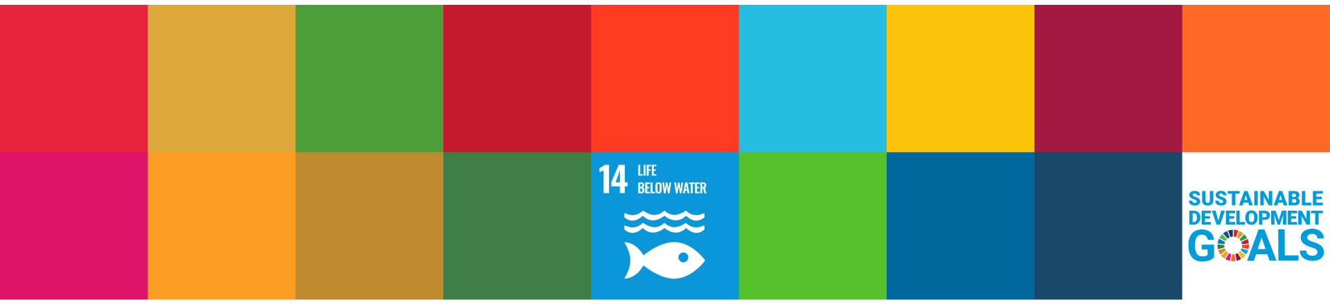 【SDG 14】實現「可持續發展目標14：水下生物」的義工服務｜Life Below Water｜社職 Social Career BLOG