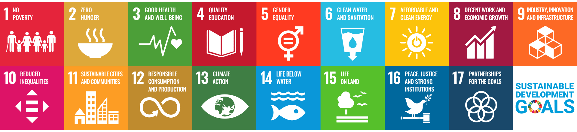 【完整SDGs指南】甚麼是聯合國17個可持續發展目標？｜有何義工服務可以參與？個人、NGO及企業可以做甚麼？｜社職 Social Career ...