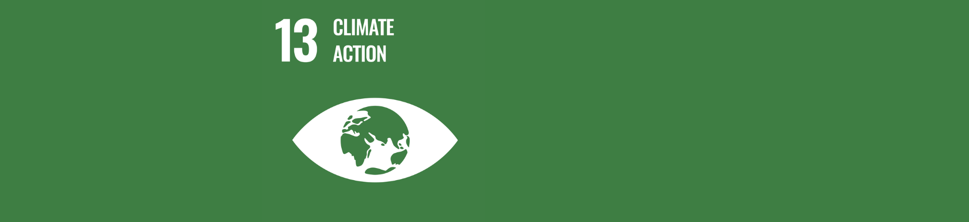 【SDG 13】實現「可持續發展目標13：氣候行動」的義工服務｜Climate Action｜社職 Social Career BLOG