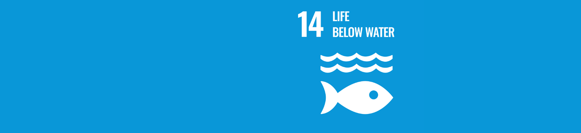 【SDG 14】實現「可持續發展目標14：水下生物」的義工服務｜Life Below Water｜社職 Social Career BLOG