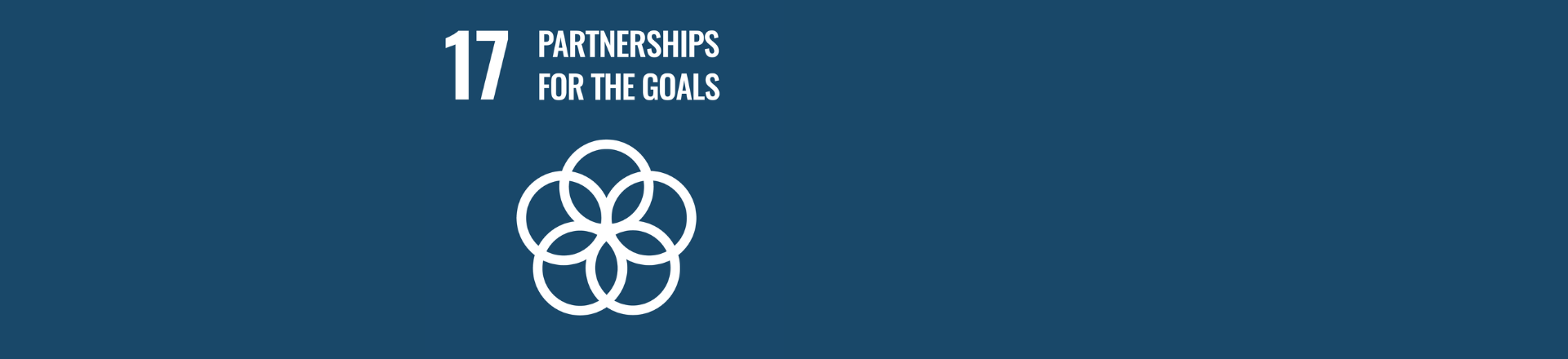 【SDG 17】實現「可持續發展目標17：促進目標實現的夥伴關係」的義工服務｜Partnerships for The Goals｜社職 ...