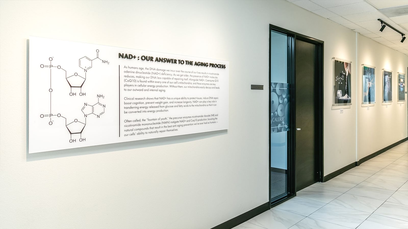 Self Care Starts With Cell Care – CalerieHealth®