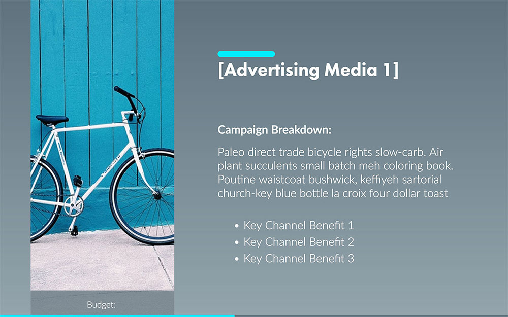 Advertising Plan Template [Customizable]