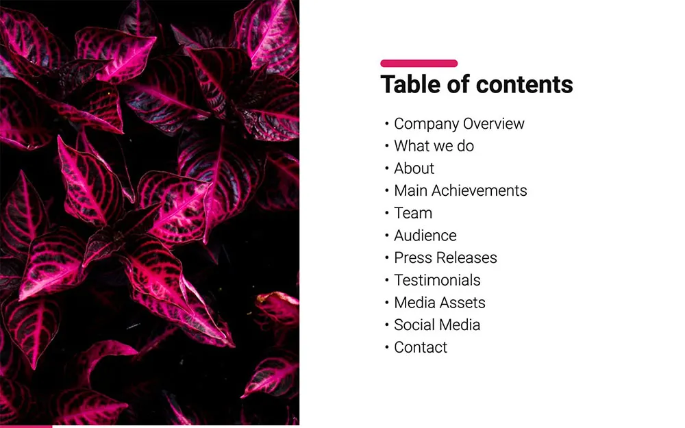 Press Kit Template [Customizable]