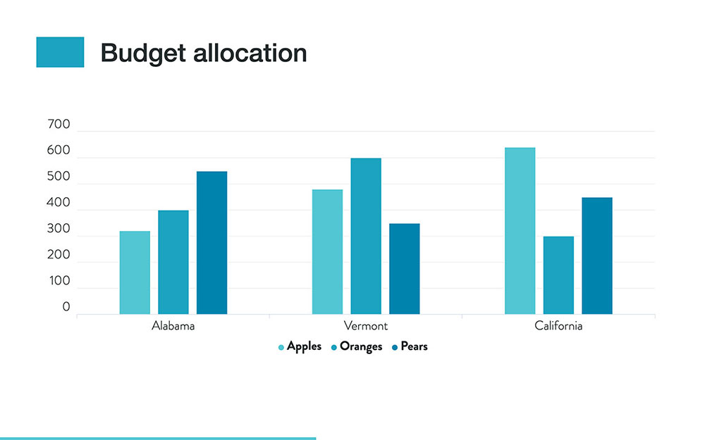 Business Budget Presentation Template | Free & Fully Customizable