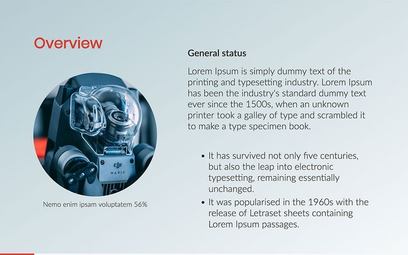 Executive Report Template [Customizable]