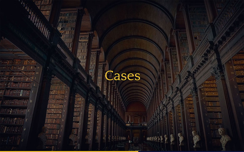 Legal Presentation Template [Customizable]